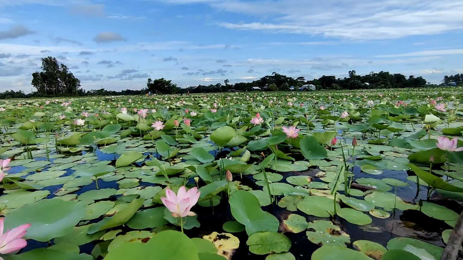 10 Best Things to Do in Khulna City in 2023 - A Guide to the Top ...