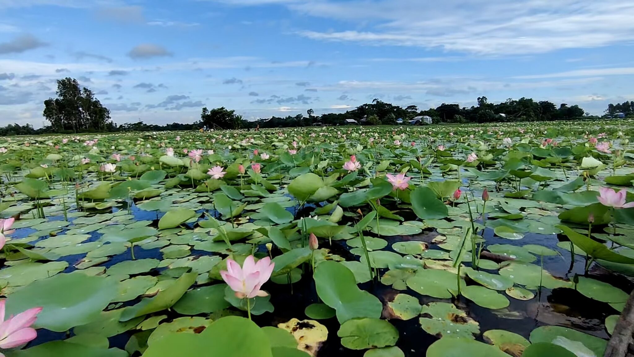 10 Best Things to Do in Khulna City in 2023 - A Guide to the Top Attractions and Activities ...